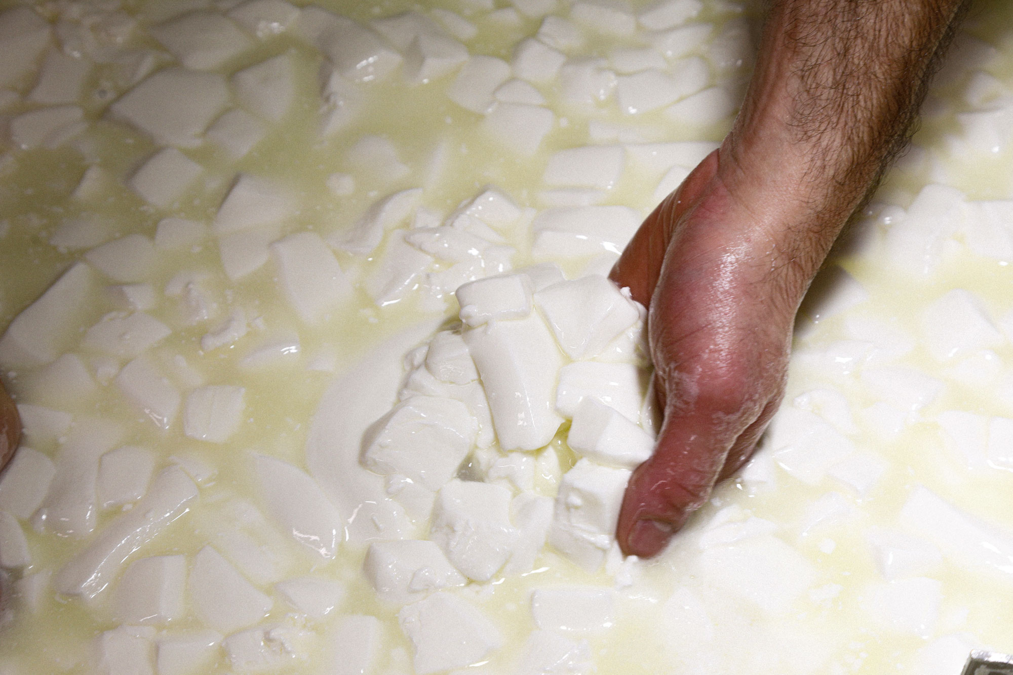 COSA E’ IL CAGLIO? E A COSA SERVE? - montecristoacademy.it